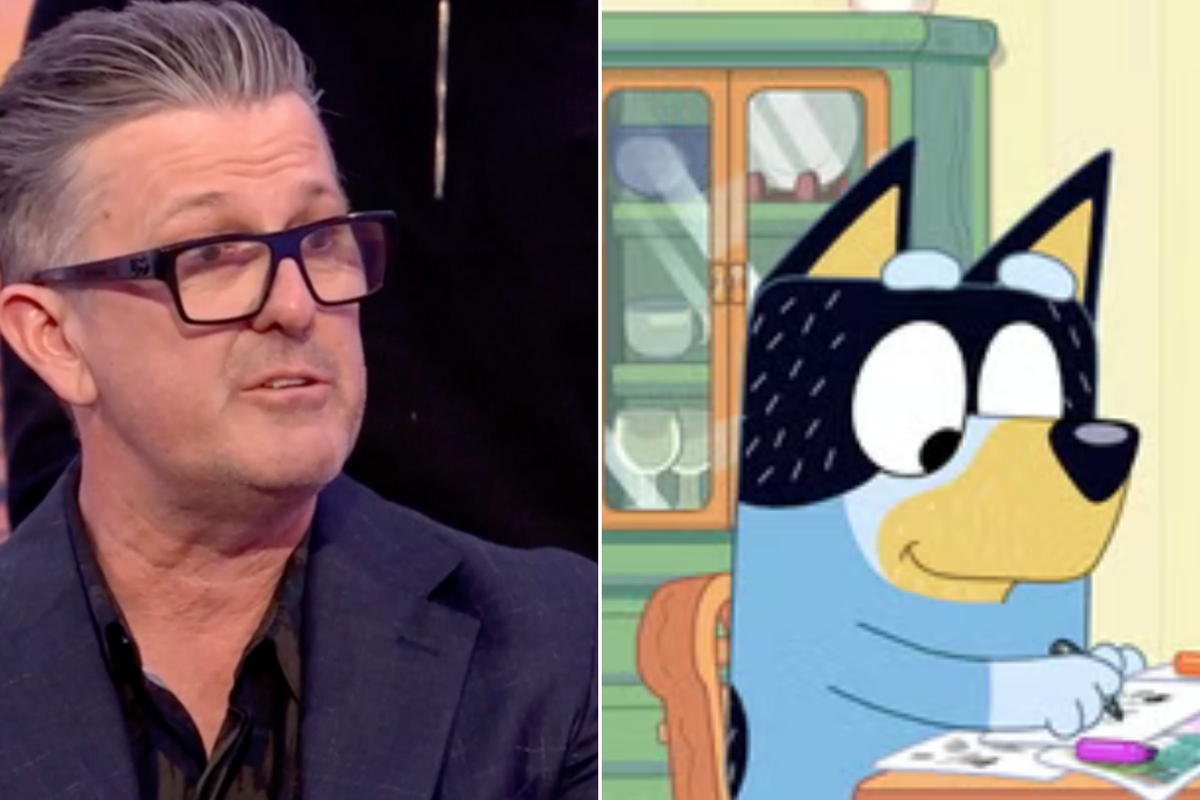 Bluey Bandit voice actor reveals unexpected reaction from kids after ...