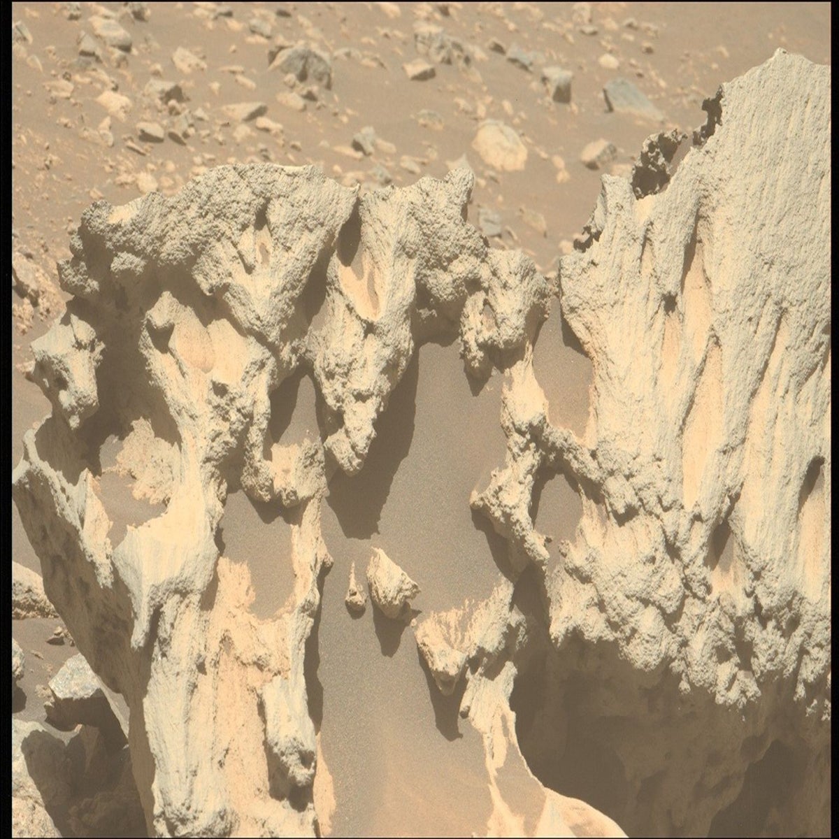 rocks from mars