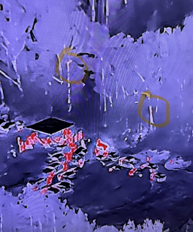 45 arrested after dog fighting ring busted in Texas: ‘The most ...