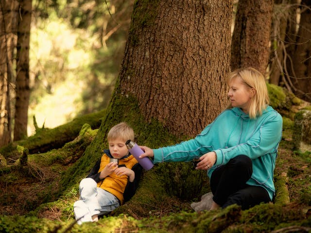 We’ve never been more disconnected from nature – here’s how forest ...