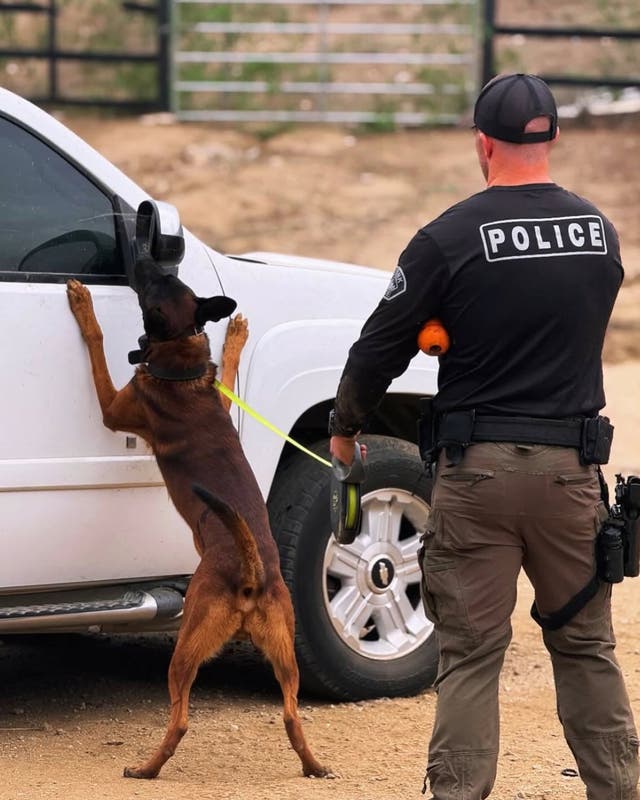 Cops mourn police dog shot dead while chasing suspect: ‘Your mission is ...