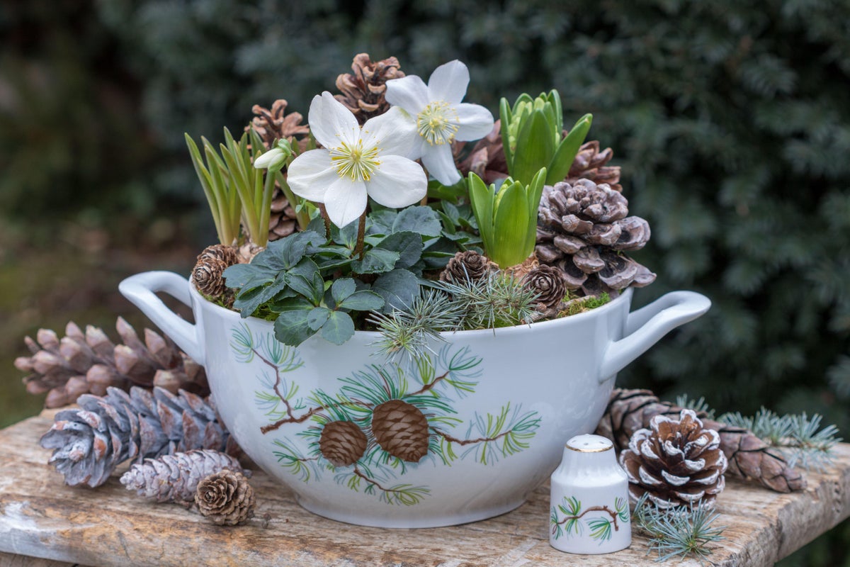 How to make sure your Christmas bulbs last the festive season | The ...