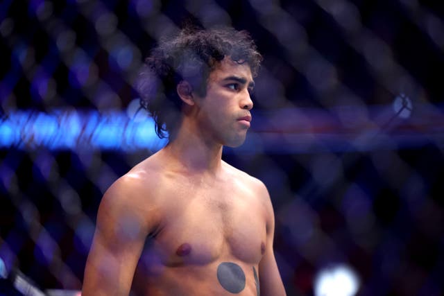 UFC 323 live: Merab Dvalishvili vs Petr Yan results and updates as ...