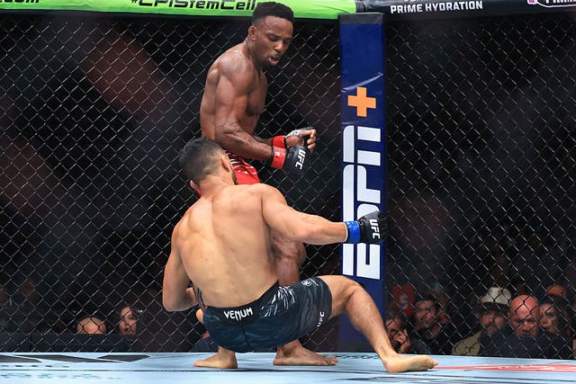 UFC 2025 awards: Best fighter, knockout, event and more | The Independent