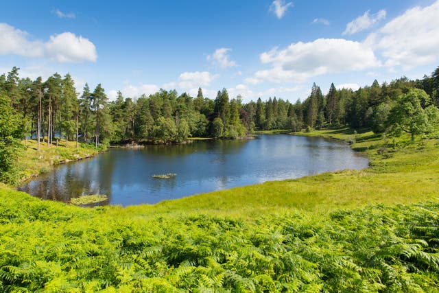 An accessible guide to the Lake District, by a wheelchair user | The ...