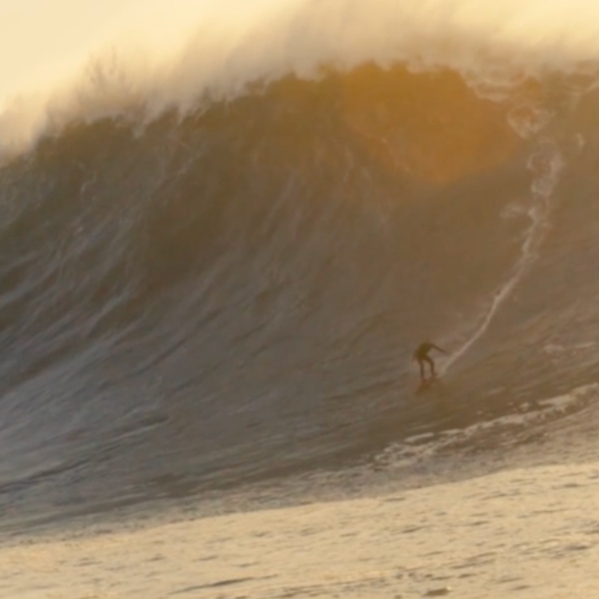 world's biggest wave surfer