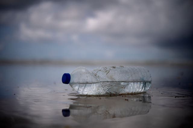 Plastic particles from water bottles can kill pancreatic cells and ...