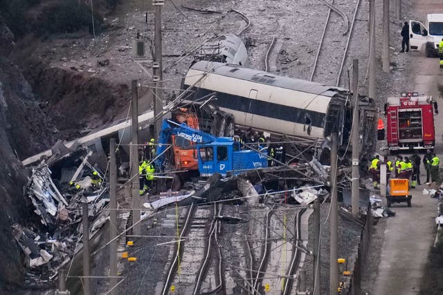 Desperate search to find Boro – the dog who survived Spanish train ...