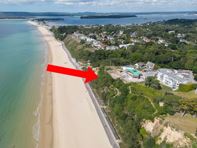 Millionaire who felled 28 trees to create room for clifftop pool fined ...