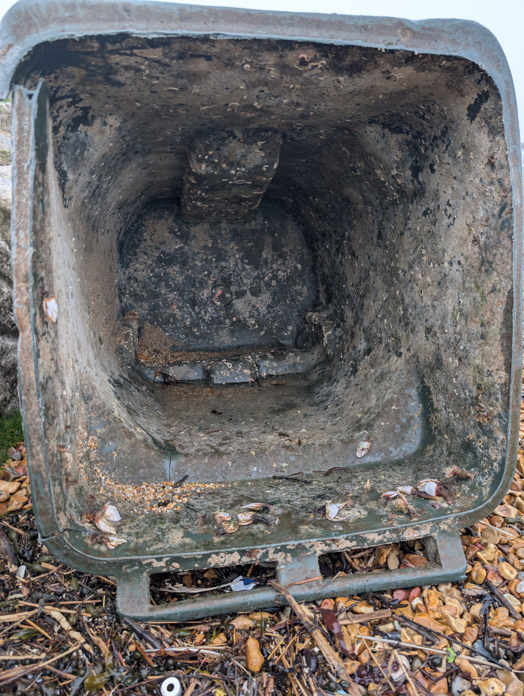 Wheelie bin washes up on UK beach after 5,000-mile journey | The ...
