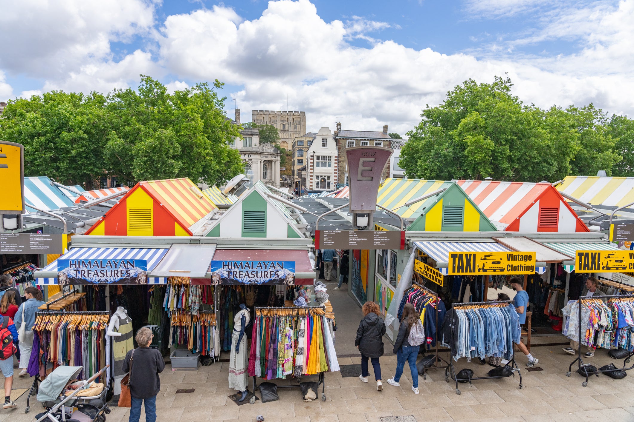 Pigeon flock could be given contraceptives after…