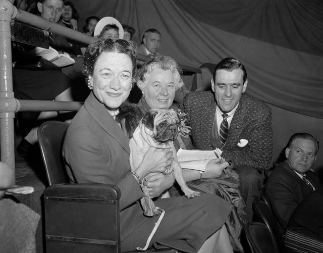 How the Westminster Dog Show became an American Institution | The ...