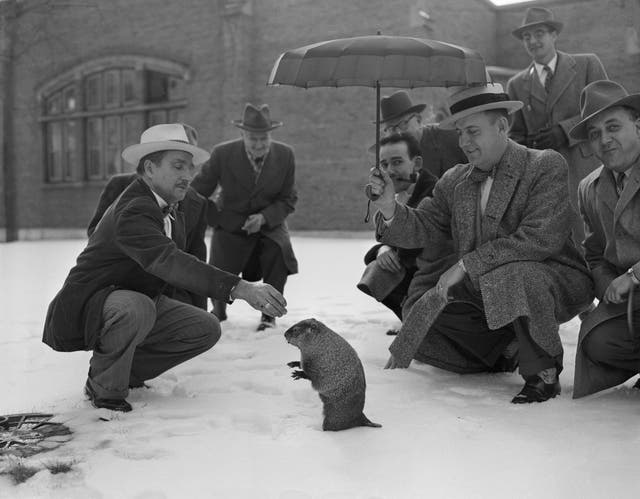What is Groundhog Day? The meaning of the centuries-old winter ...