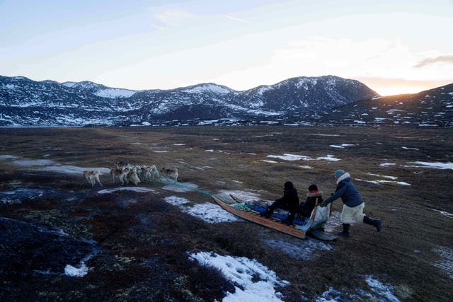 Greenland’s dog sled champion says Trump isn’t the territory’s only ...