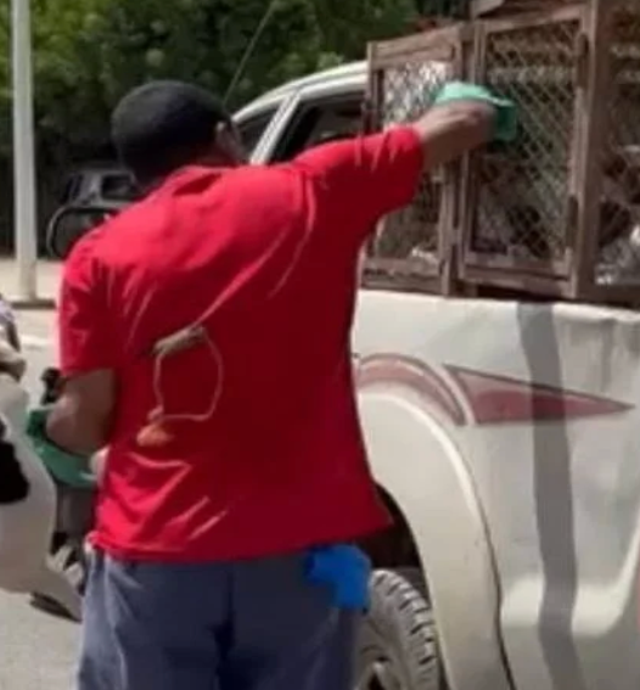 World Cup host accused of culling millions dogs before football ...