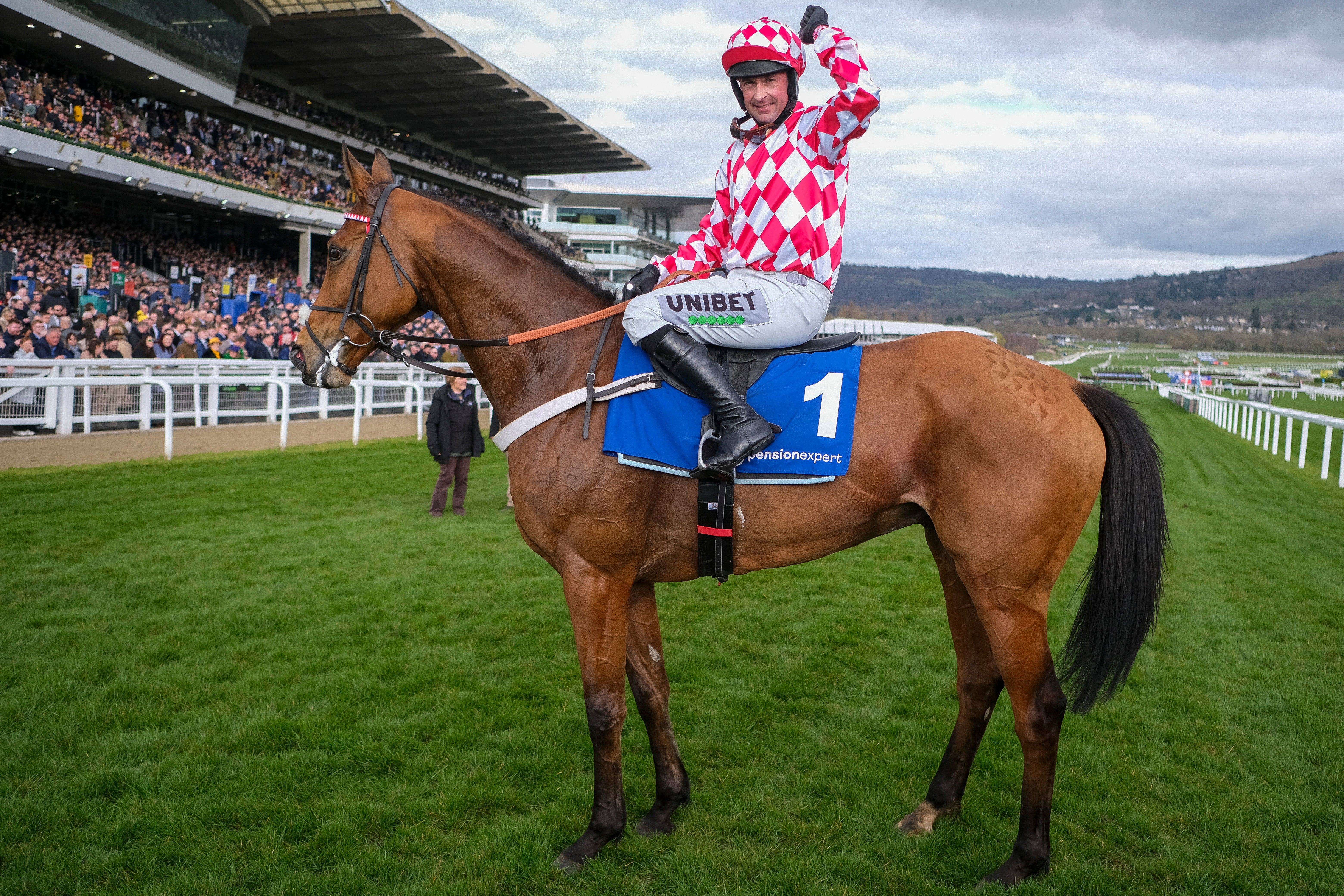 2026 Arkle Chase Odds & Betting Guide | Cheltenham Betting | The ...
