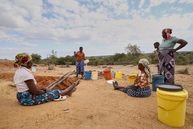 Tawanda Karombo | The Independent