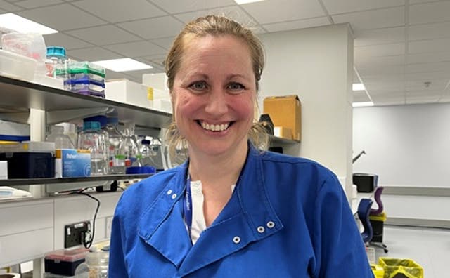 Earlier diagnosis of ovarian cancer possible with medical tampon ...
