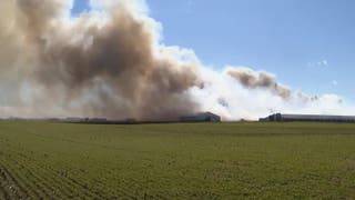 Farm fire kills thousands of animals with smoke visible for miles | The ...