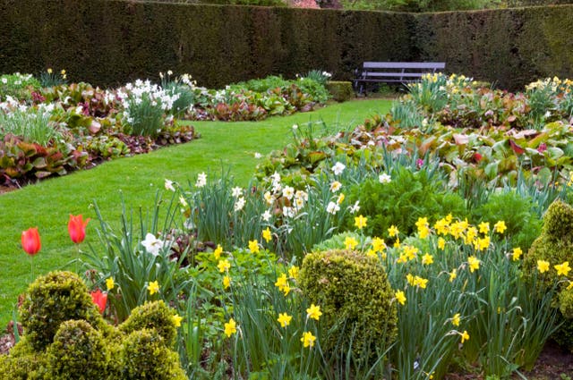 Spring adventures: The best places to enjoy Britain in bloom by rail ...
