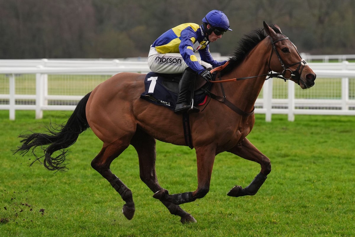 Saturday Horse Racing Tips | Best Bets For Ayr | The Independent