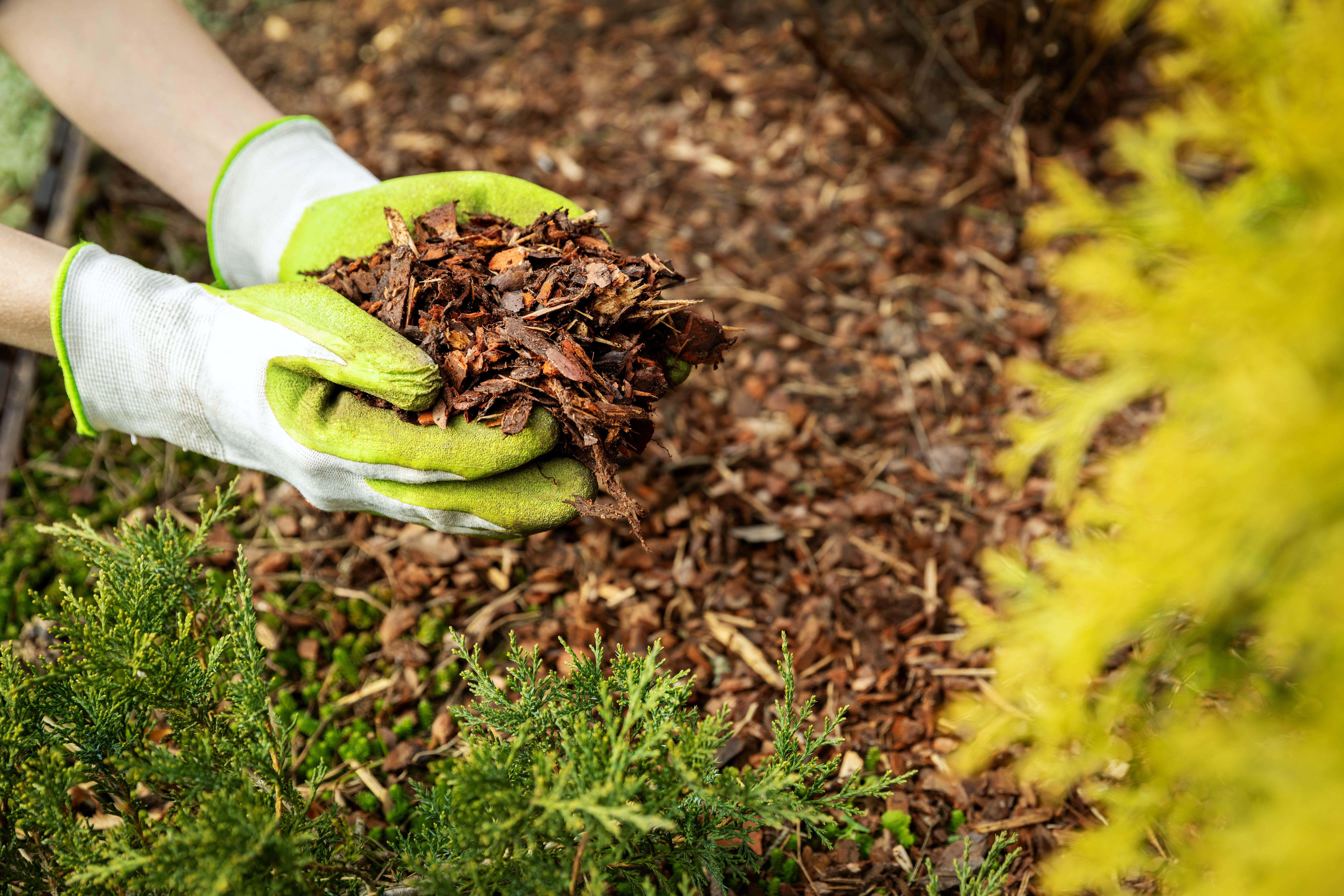 Which mulch should you be using for your garden? | The Independent