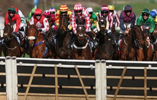 Gold Cup horse Envoi Allen becomes third to die at Cheltenham Festival ...