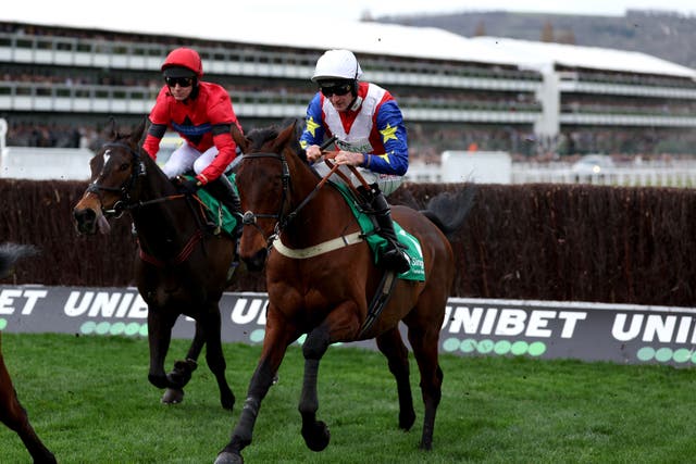 Cheltenham Festival under fire after four horses die as RSPCA demands ...