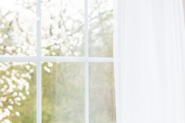 How to pollen-proof your house and stop sneezing this spring | The ...