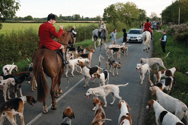 Trail-hunting set to be banned in landmark crackdown | The Independent