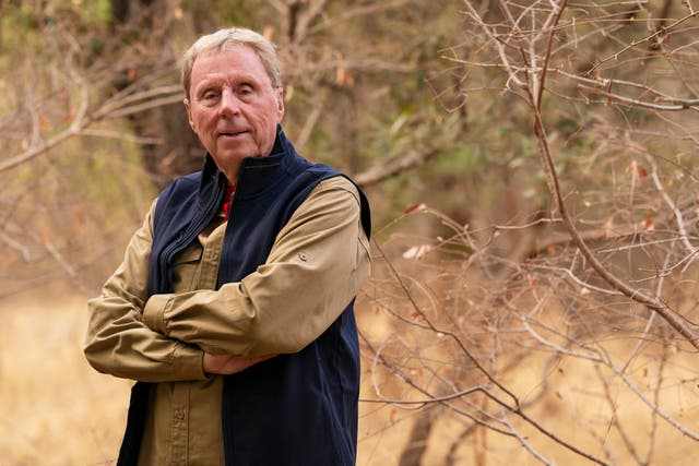 I’m A Celebrity... South Africa: Meet the cast of 2026 series, from ...