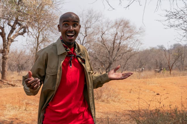 I’m A Celebrity... South Africa: Meet the cast of 2026 series, from ...