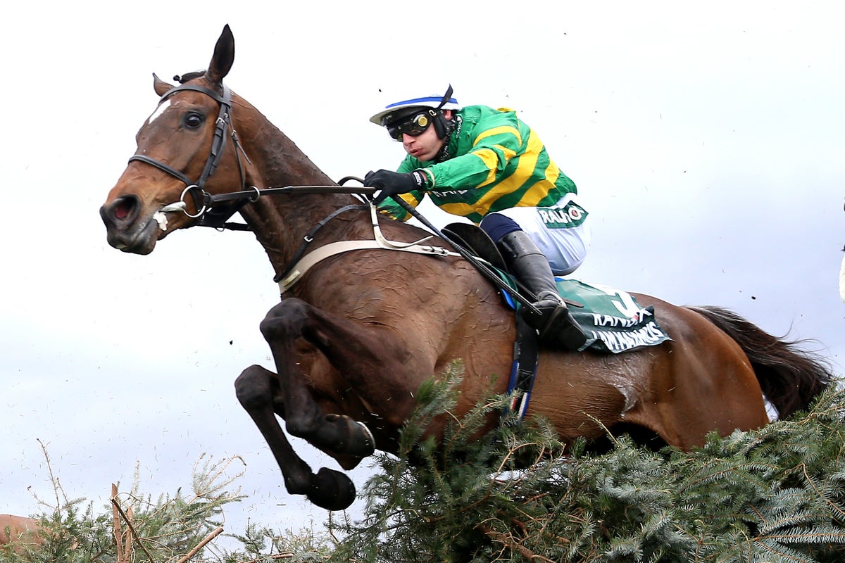 Grand National Betting Tips: Best Bets & Odds 2026 Grand National Day ...