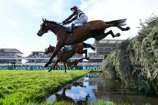 Grand National jockey banned just hours after Aintree race | The ...