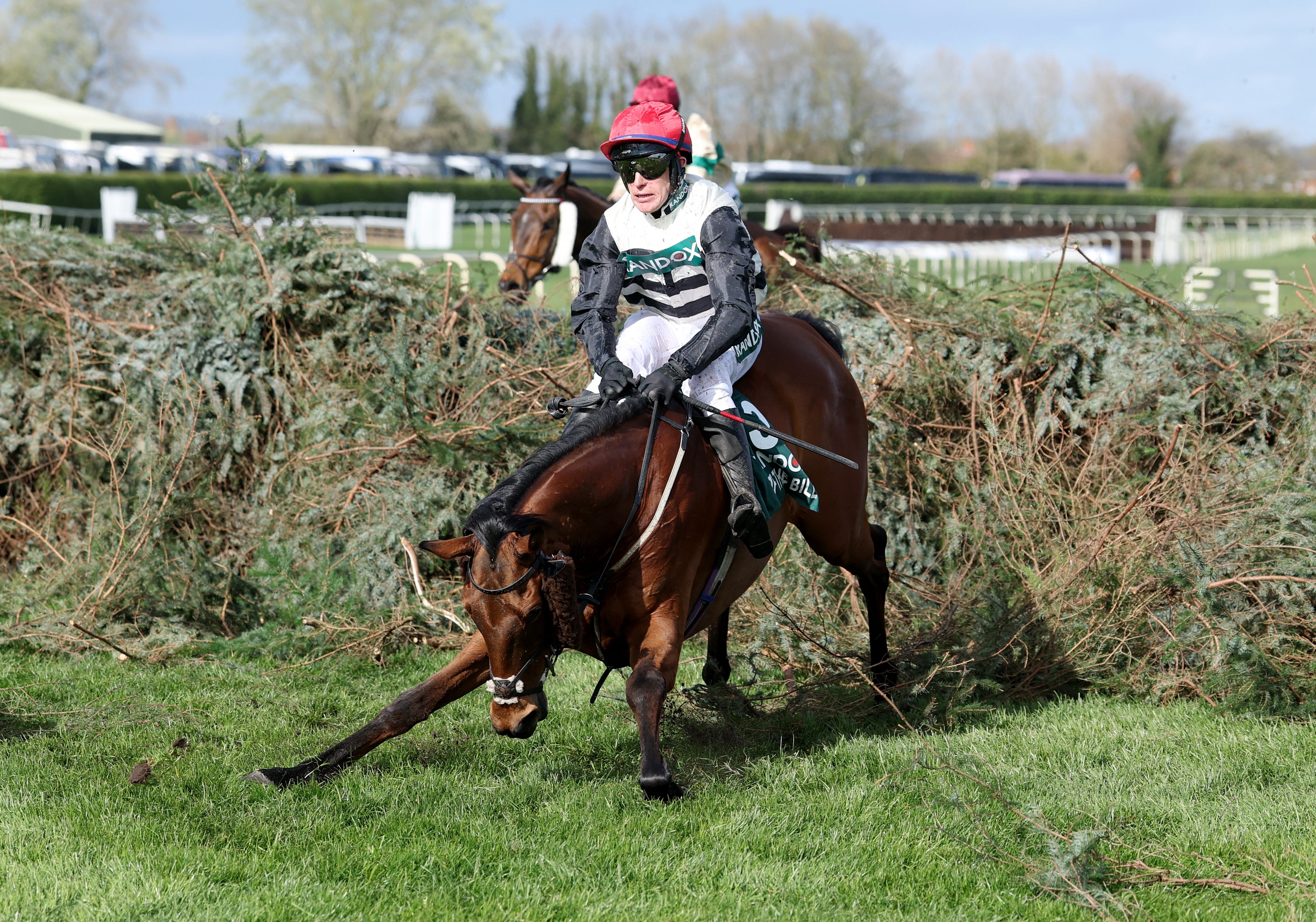 Grand National debutant hit with 10-day ban | The Independent