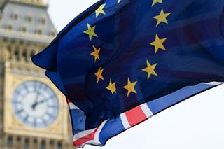 British pet owners warned of new EU travel rules from Wednesday | The ...