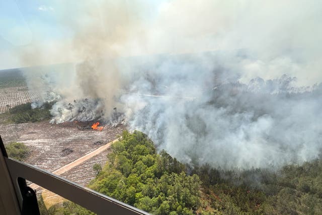 Georgia wildfires threaten residents as strong winds raise spread risk ...