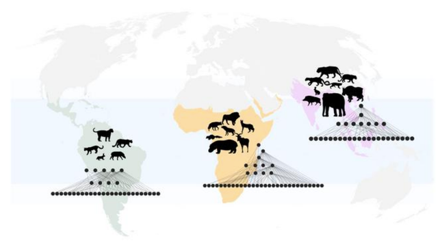 How extinction of giant ice age beasts could still affect food chains ...