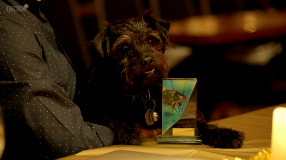 Gone Fishing Ted death: Dog co-star dies as Mortimer and Whitehouse pay ...