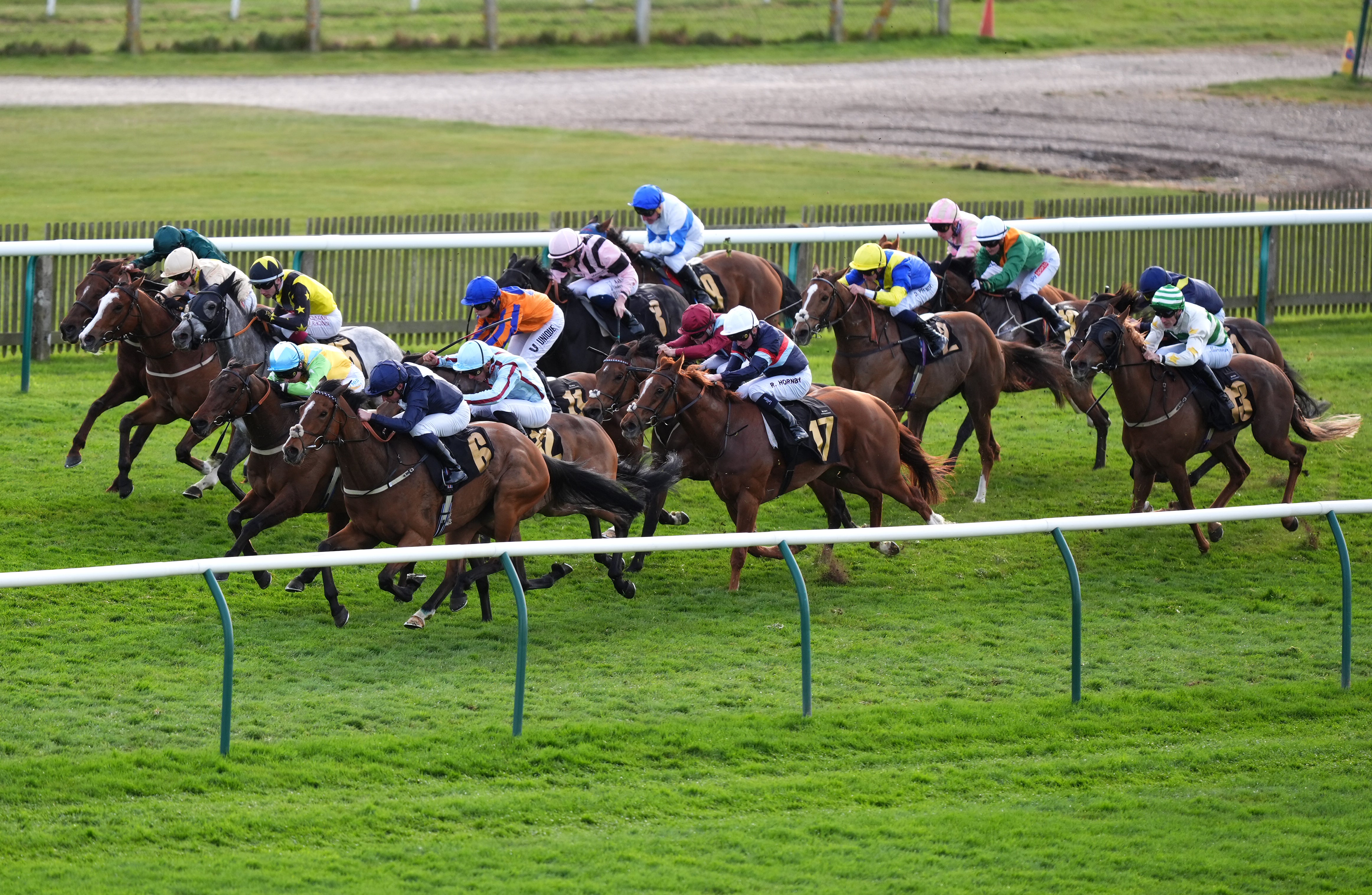 Horse Racing Tips: Friday’s Best Bets & Odds For Newmarket | The ...