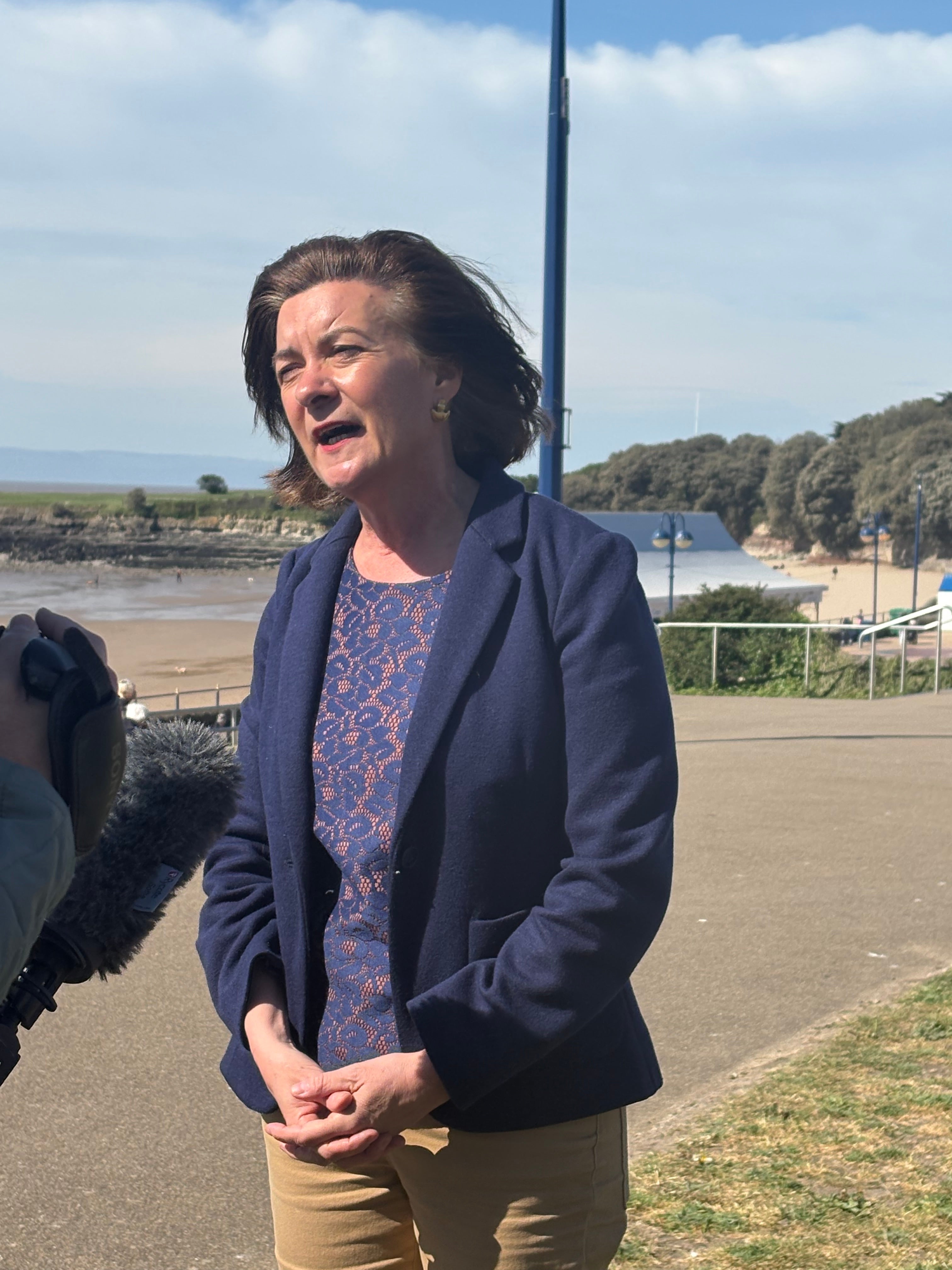 Welsh First Minister tells people to vote for wrong party | The Independent