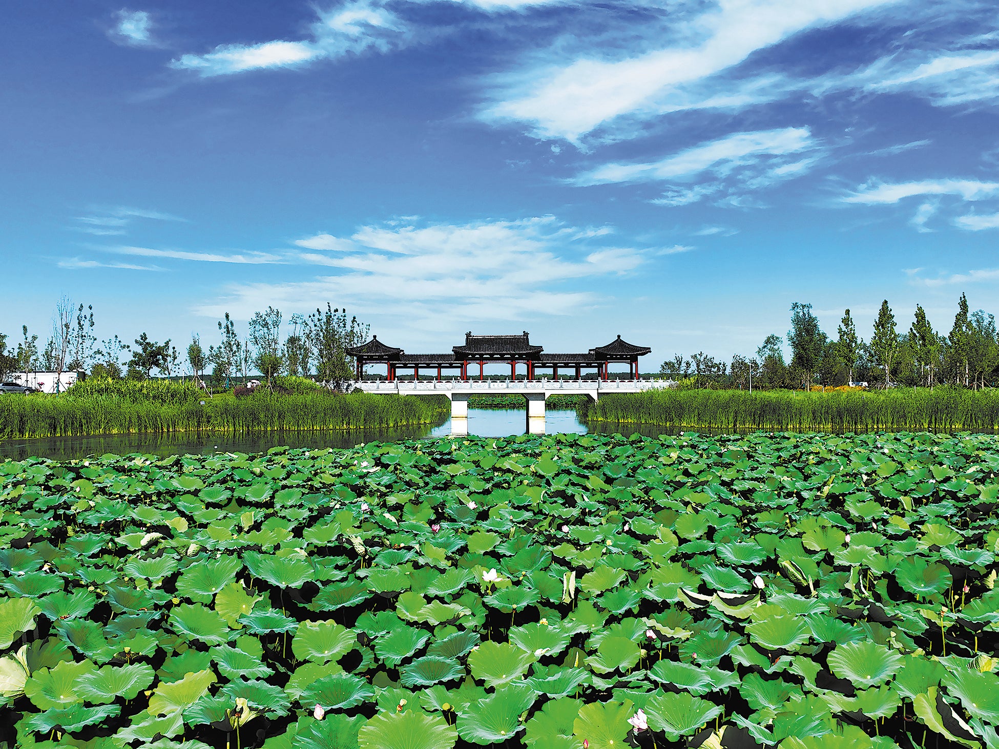 A restored lake echoes past and future together | The Independent