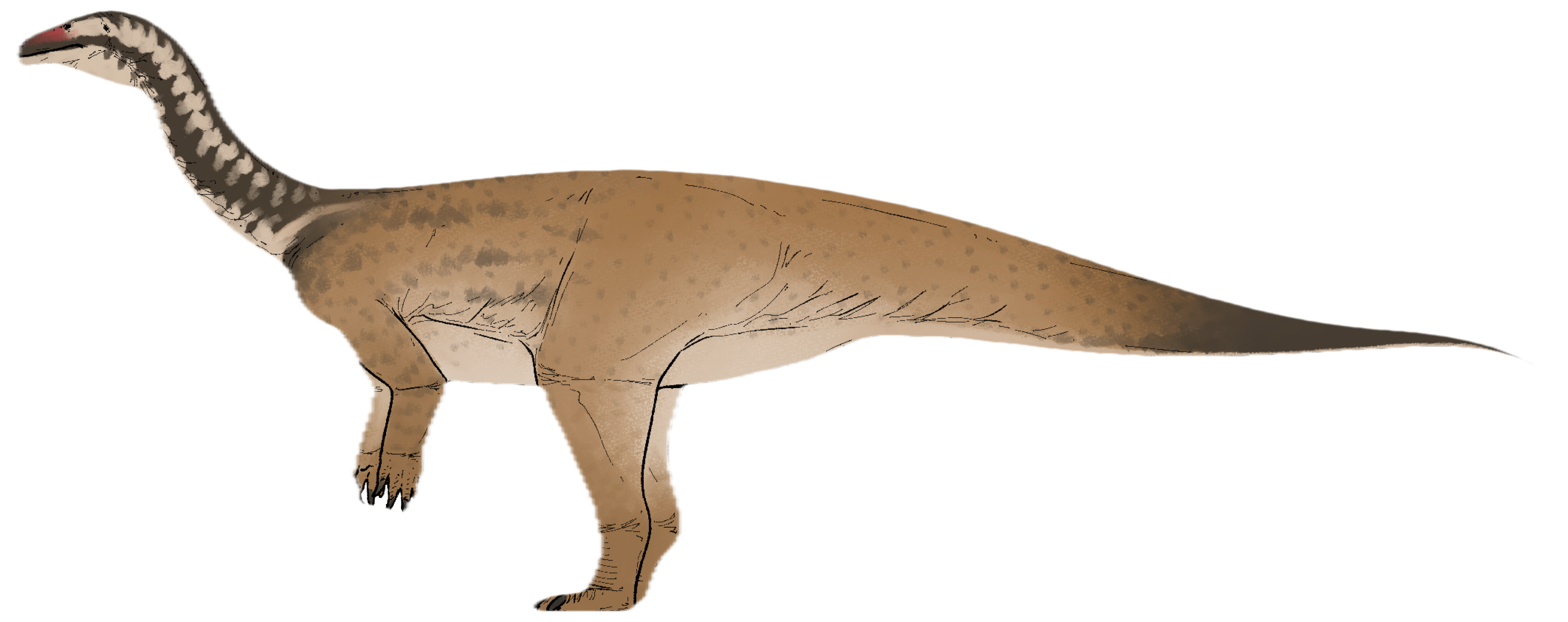 Xiangyunloong fengming: Scientists unearth new dinosaur species that ...