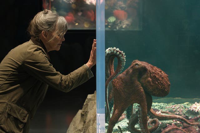 Remarkably Bright Creatures review – this Sally Field Netflix movie ...