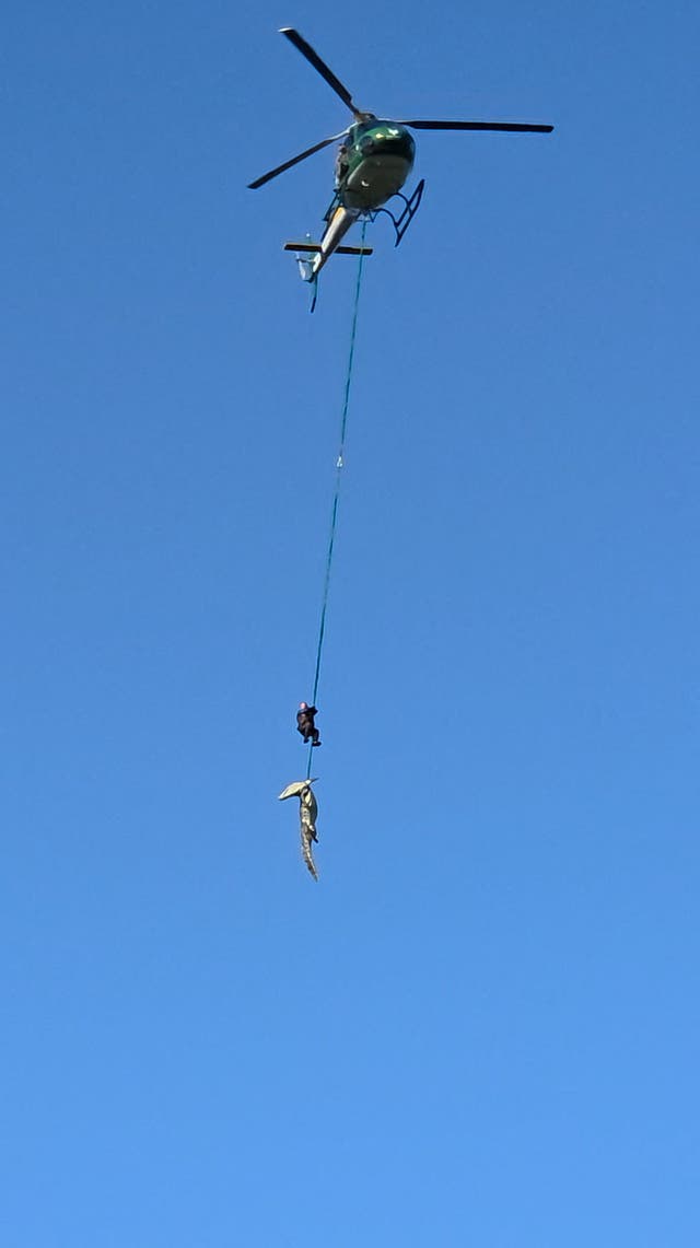 Extraordinary pictures show police airlifting massive crocodile ...