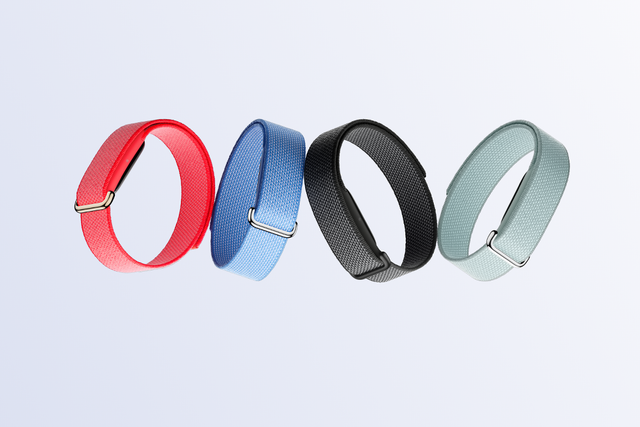 The Fitbit Air is Google’s £85 Whoop rival, and you can pre-order it ...