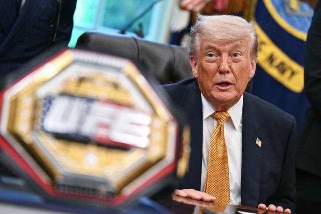 UFC Freedom 250: Start time, card and TV channel for White House fights ...