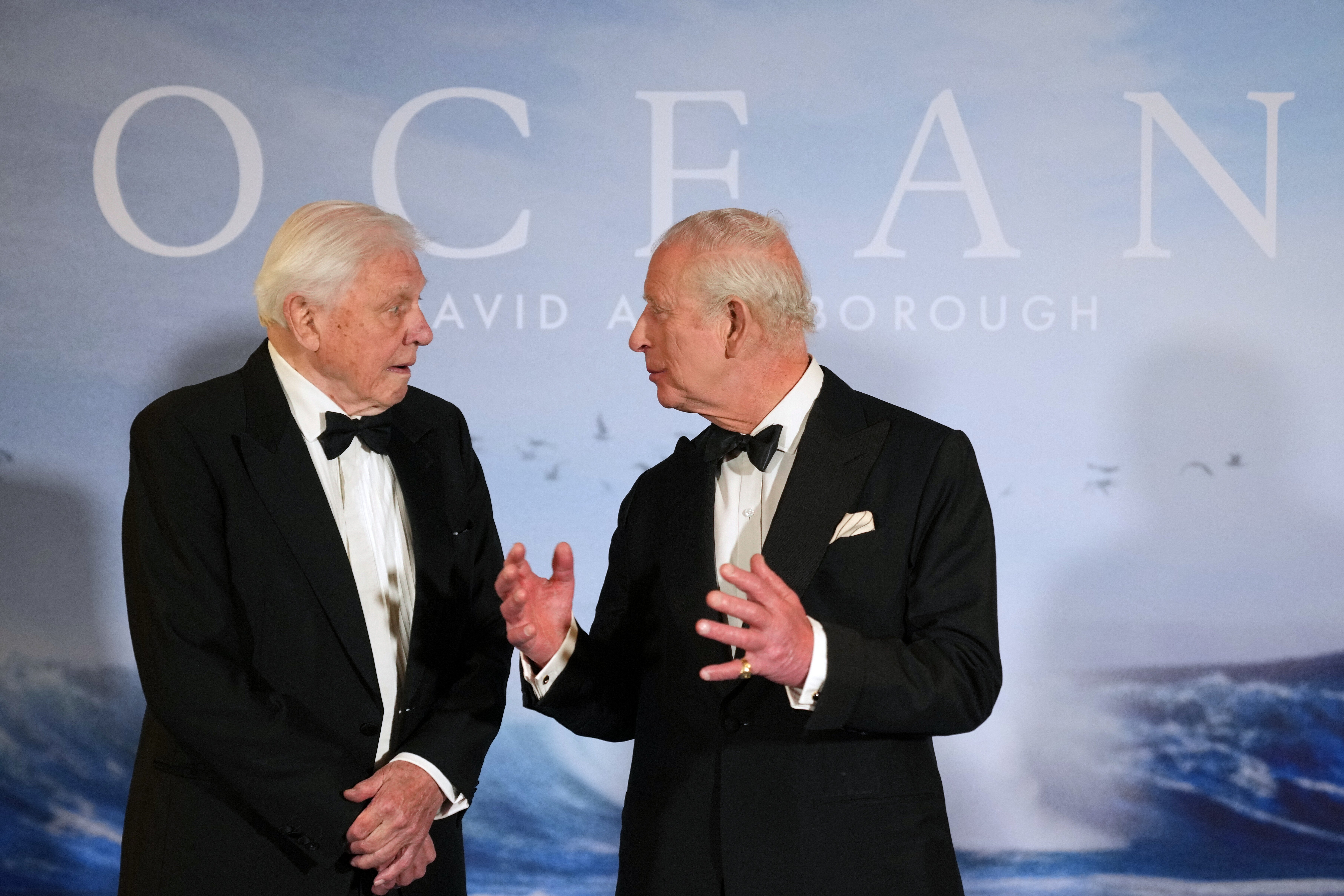 Clever creatures help King deliver birthday message to Sir David ...