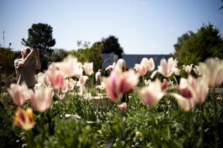 Bank holiday weather forecast: UK temperatures set to soar to 25C for ...