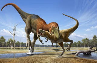 Why tyrannosaurs had such tiny arms revealed: ‘The head took over ...
